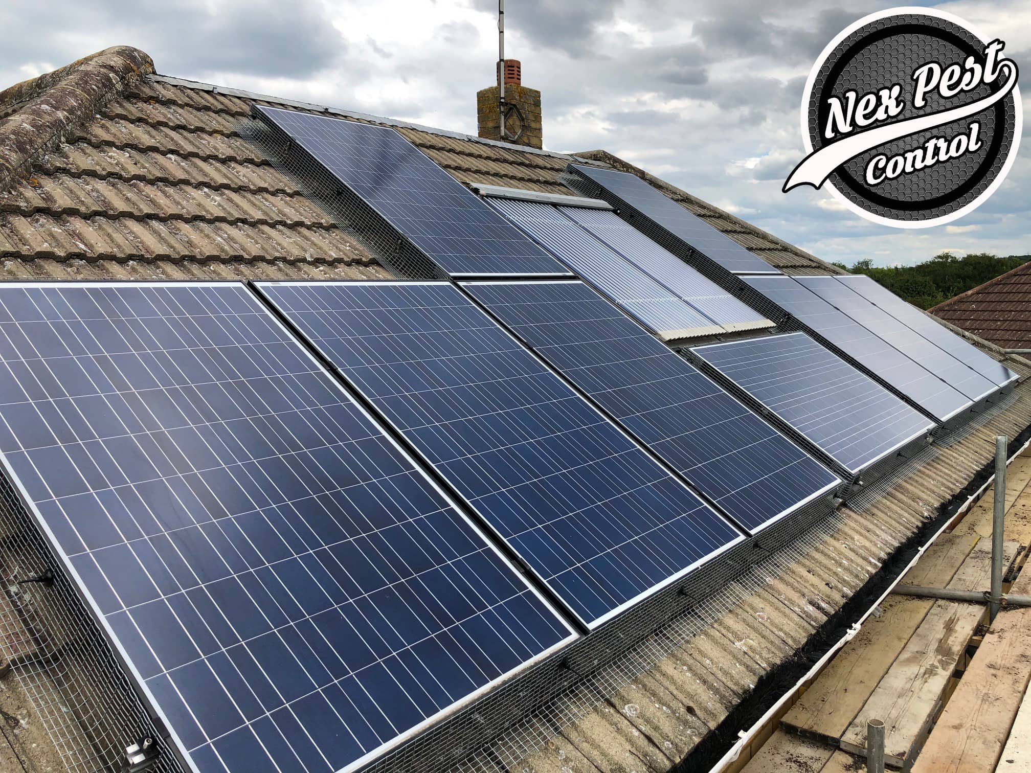 SOLAR PANEL PIGEON PROOFING - Nex Pest Control